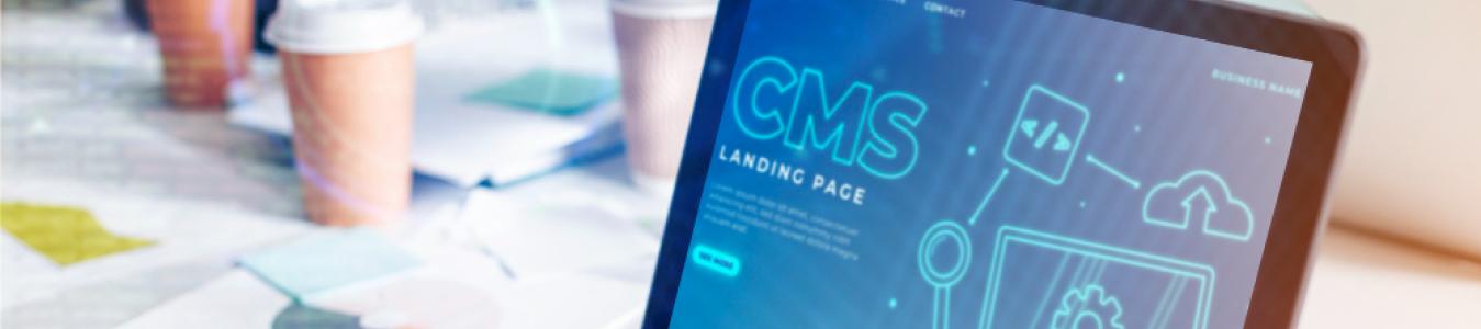 Manage Site Your Way With Our CMS Development Services